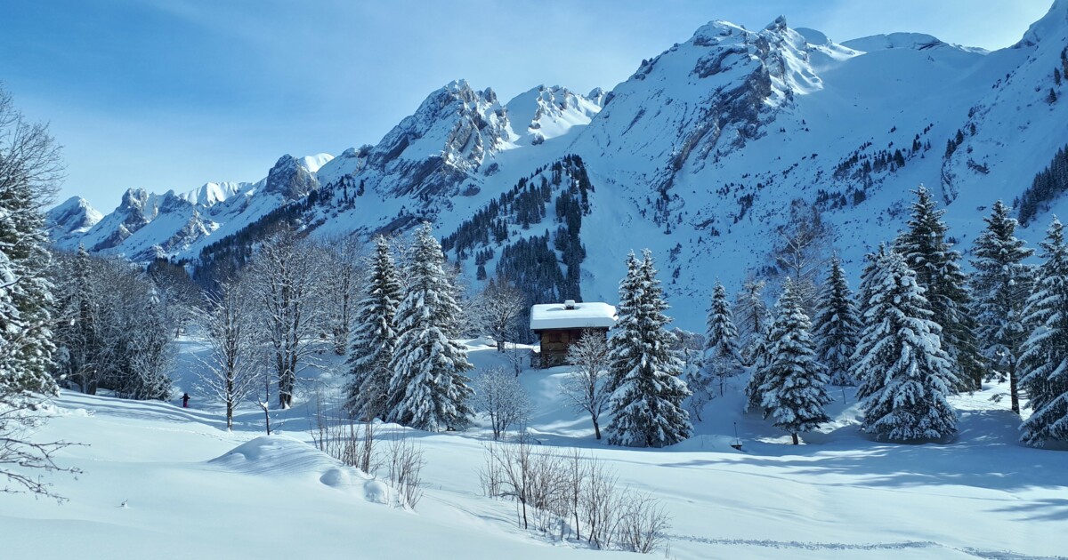 Randonnée raquettes à La Clusaz et Manigod avec notre guide | Bureau ...